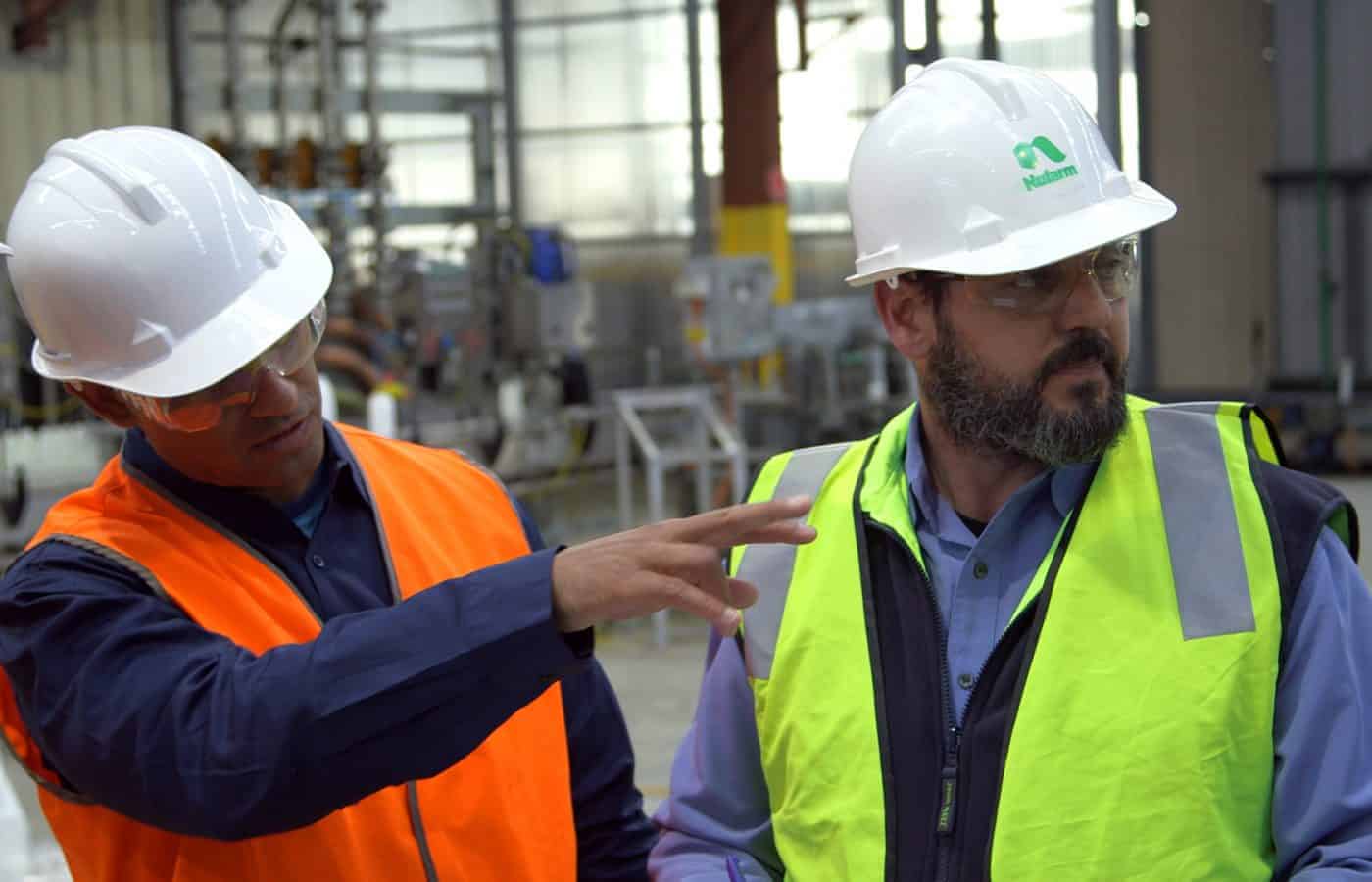 Basic Occupational Health and Safety Training Online - Safetyhub