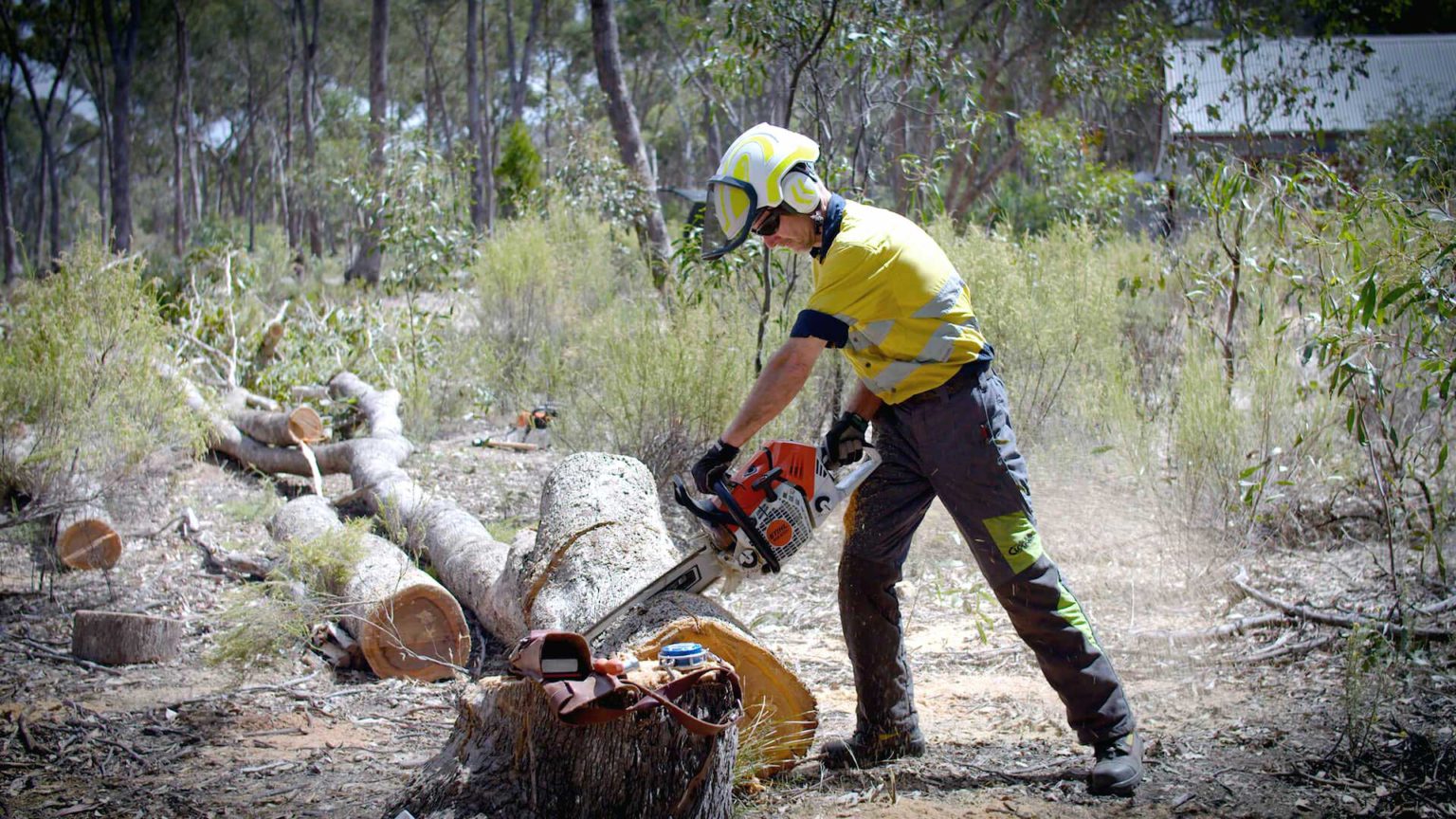 Hand and Power Tool Safety Training Online - Safetyhub