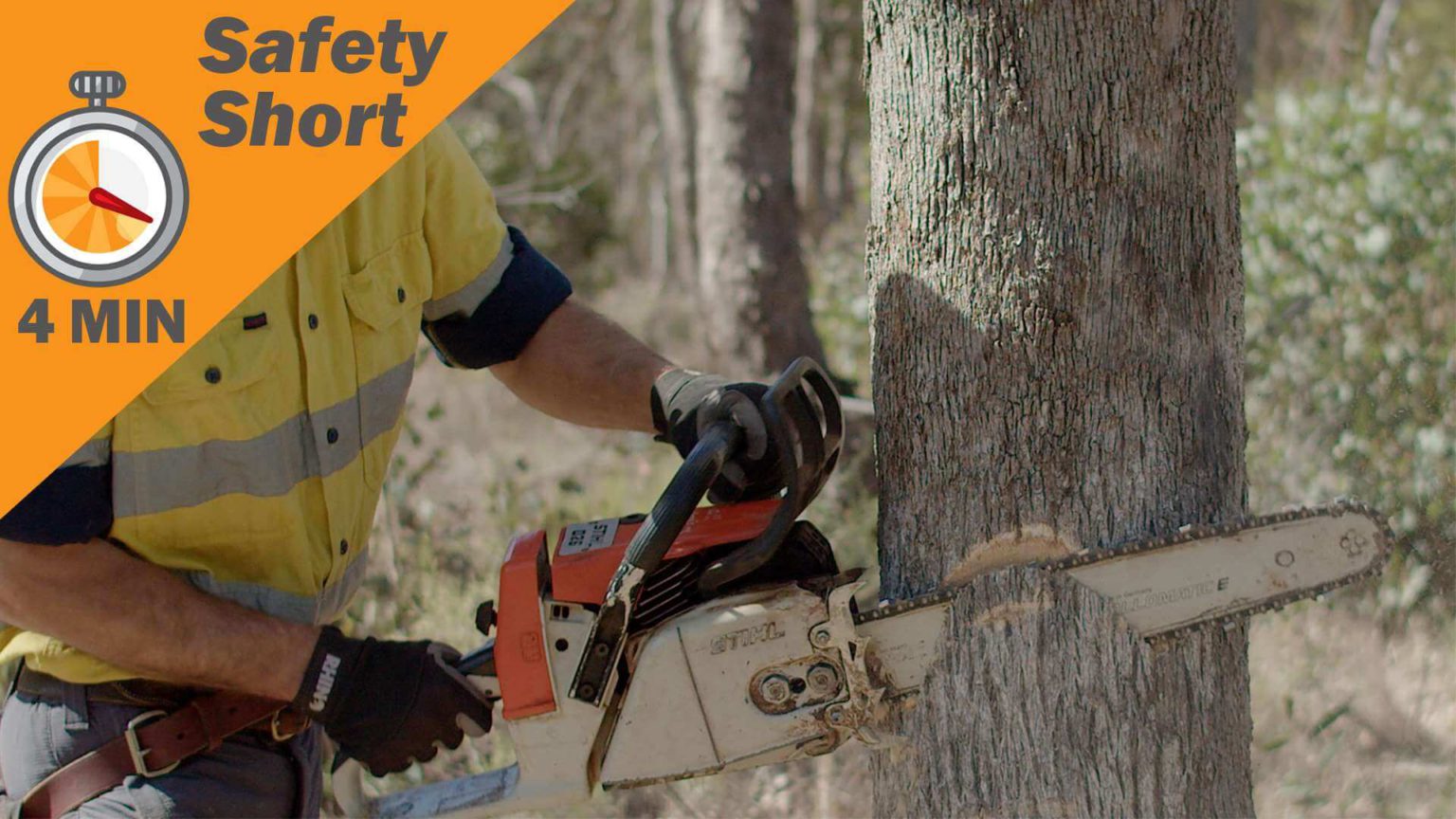 Microlearning Safety Training Videos - Safetyhub